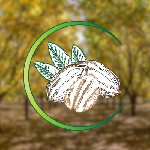 SA Pecans Contact - SA Pecans